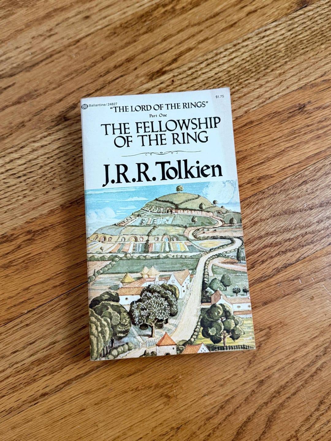 1975 Fellowship of the Ring by JRR Tolkien (paperback) VGC - Etsy
