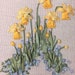 PDF Daffodil Delight - Etsy