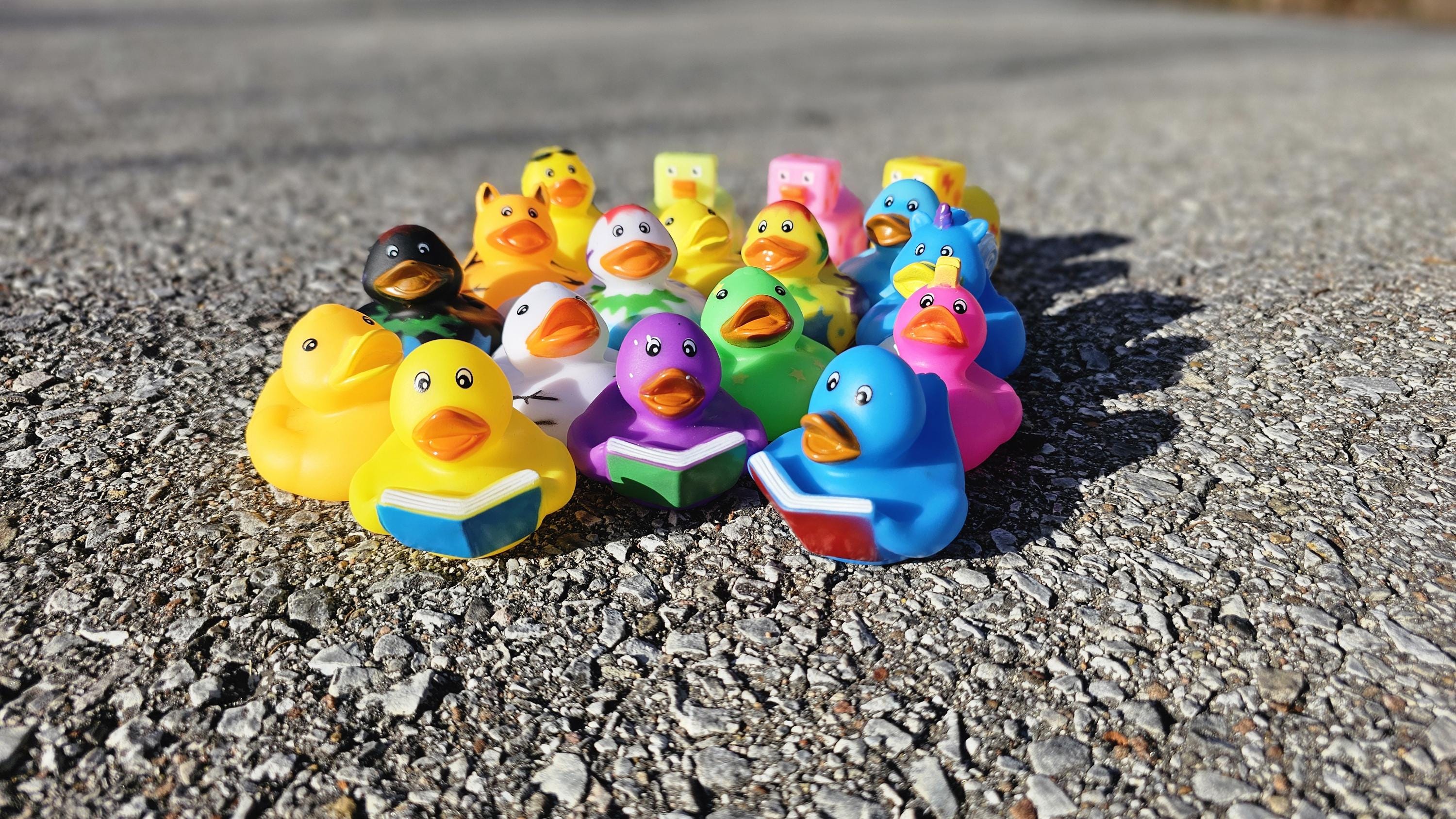 Bulk Assorted Ducks for Jeeps, Desktop Toys, Bulk Ducks, Collectable ...
