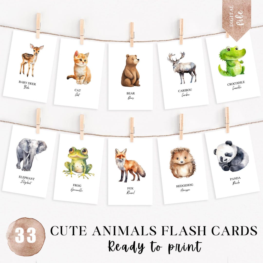 Animals Flash Cards set of 33 Animals Flash Cards for Preschool ...