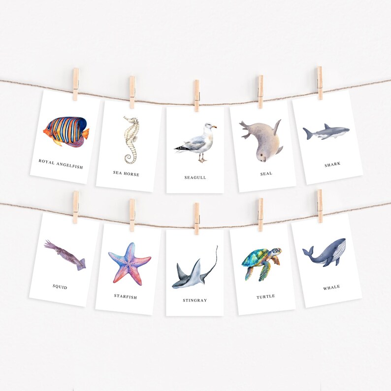 Ocean Animals Flash Cards set of 20 Ocean Creatures Flashcards for ...