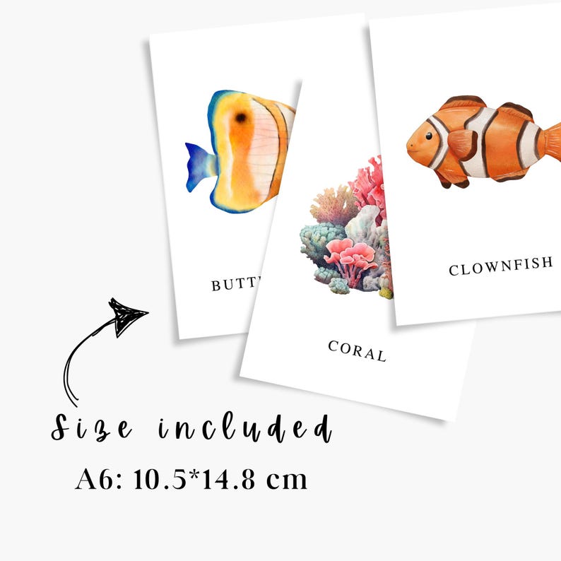 Ocean Animals Flash Cards set of 20 Ocean Creatures Flashcards for ...