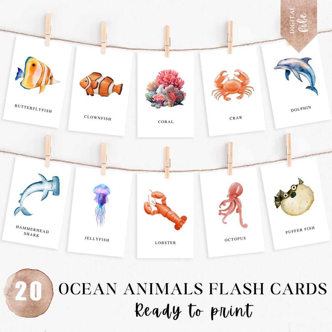 Ocean Animals Flash Cards set of 20 Ocean Creatures Flashcards for ...