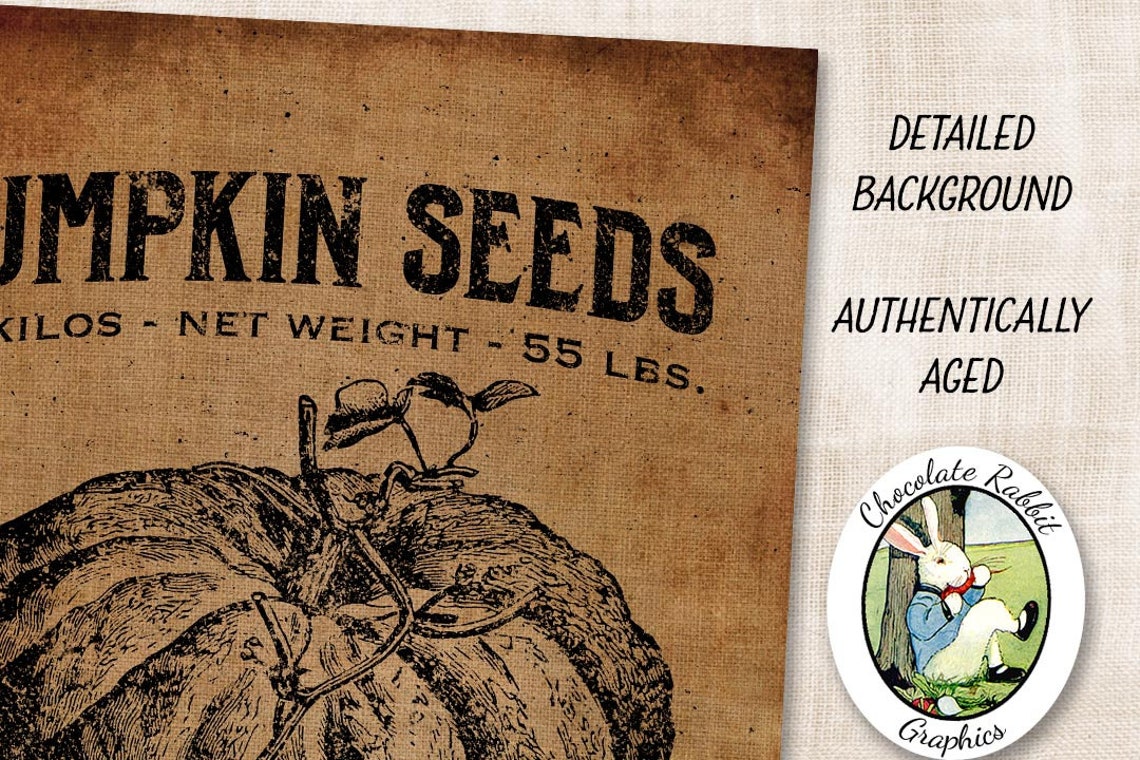 Vintage Style Pumpkin Seed Print Primitive Pumpkin Sign - Etsy