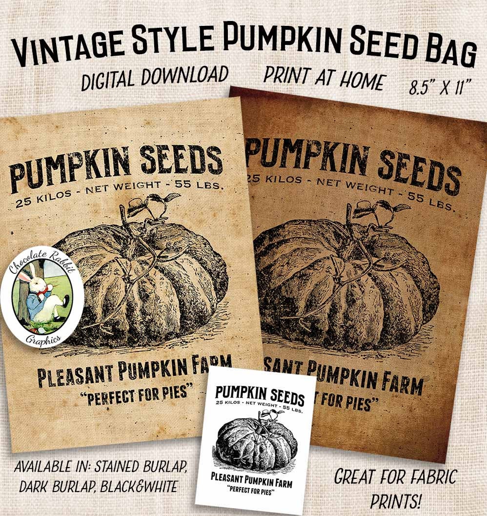 Vintage Style Pumpkin Seed Print Primitive Pumpkin Sign - Etsy