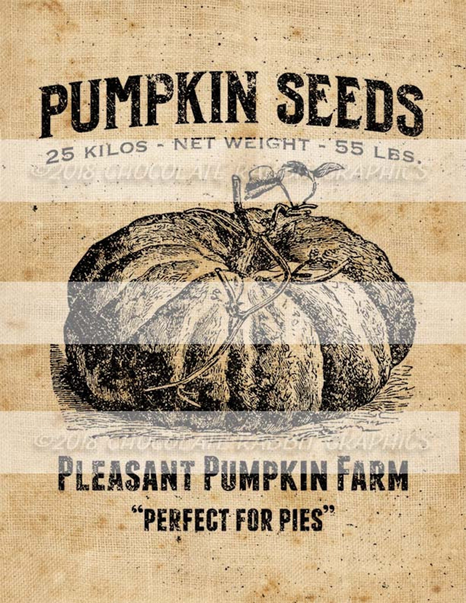 Vintage Style Pumpkin Seed Print Primitive Pumpkin Sign - Etsy