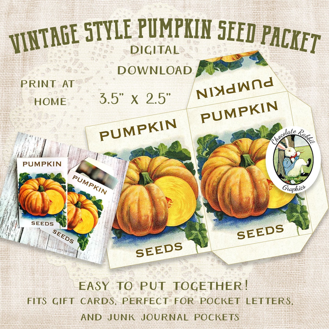 Vintage Pumpkin Seed Packet Digital Download, Printable Thanksgiving ...