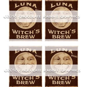 Halloween Potion Bottle Labels, Printable Potion Labels, Digital ...