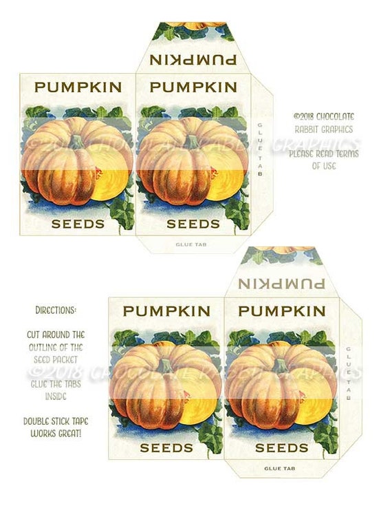 Printable Seed To Pumpkin
