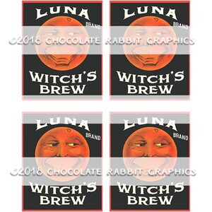 Halloween Potion Bottle Labels, Printable Potion Labels, Digital ...
