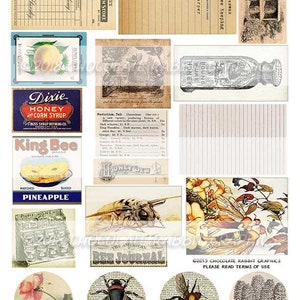 Vintage Bee Tag Kit, Digital Junk Journal Ephemera, Printable Bee and ...