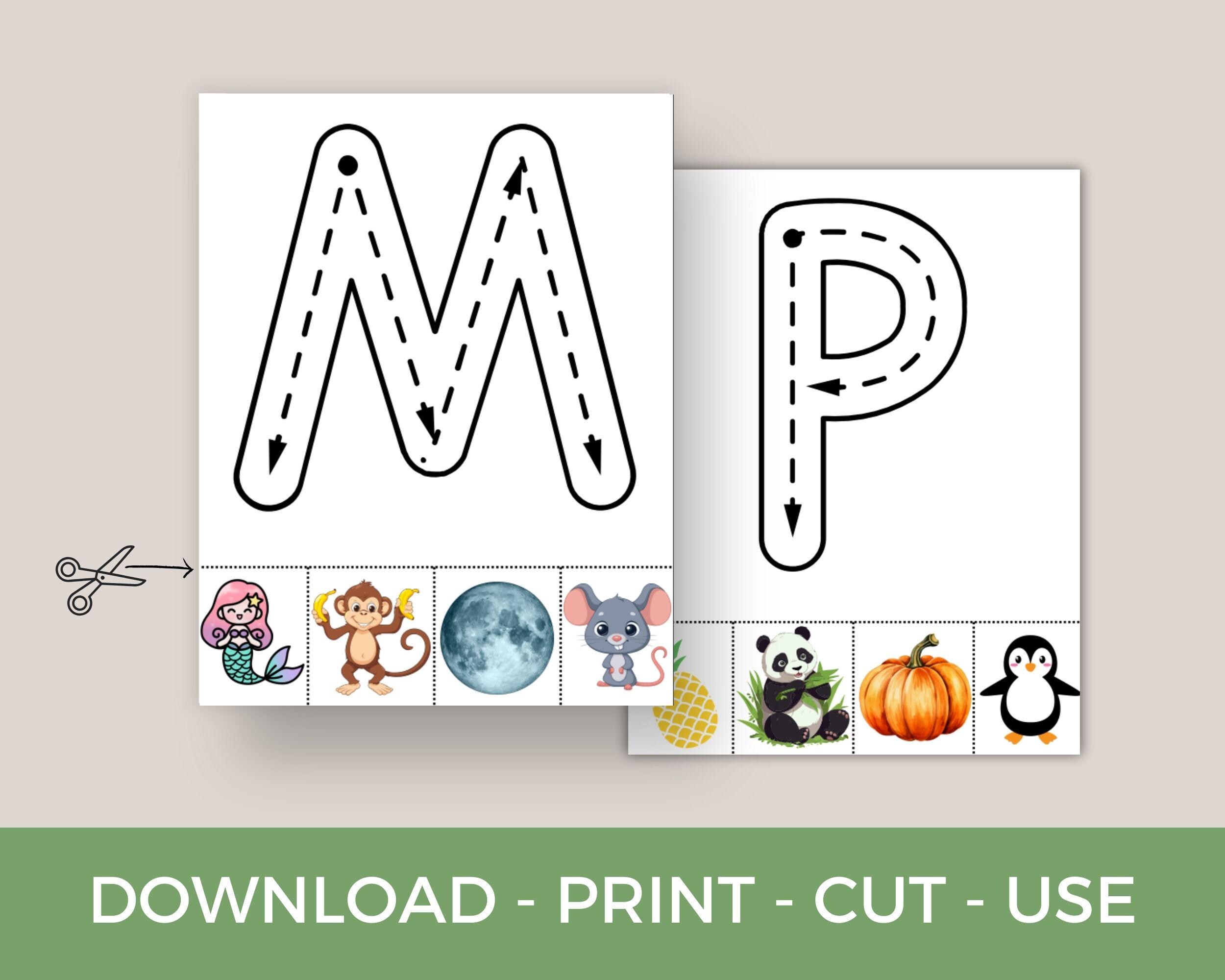 First Letter Sounds Scavenger Hunt, Preschool Phonics Fun, Phonemic ...