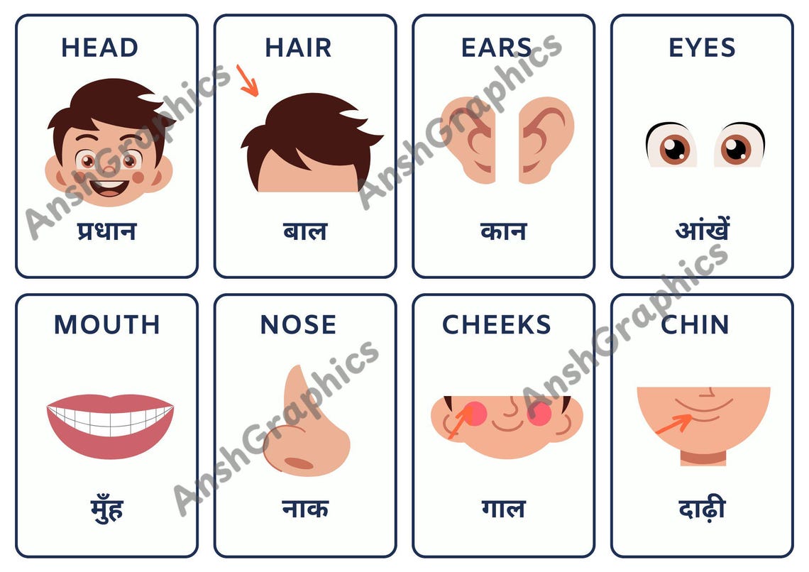 Body Parts in Hindi - Flashcards Printable - Etsy