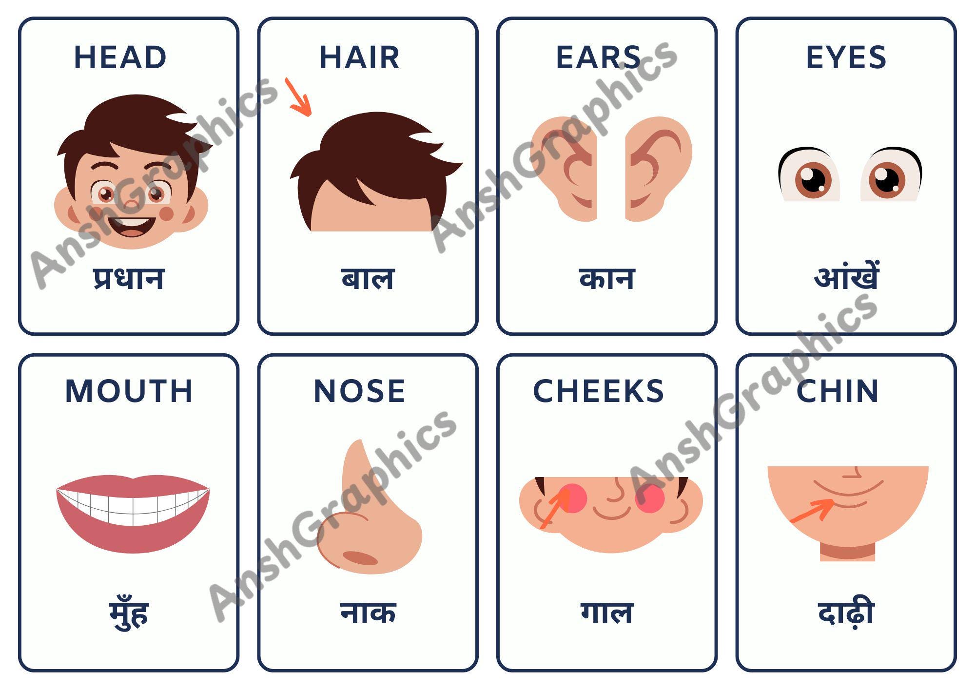 Body Parts in Hindi - Flashcards Printable - Etsy
