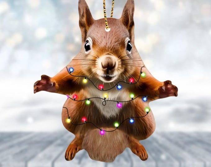 Squirrel Christmas Ornament, 3D Inspired Ceramic Ornament, Cute Santa ...