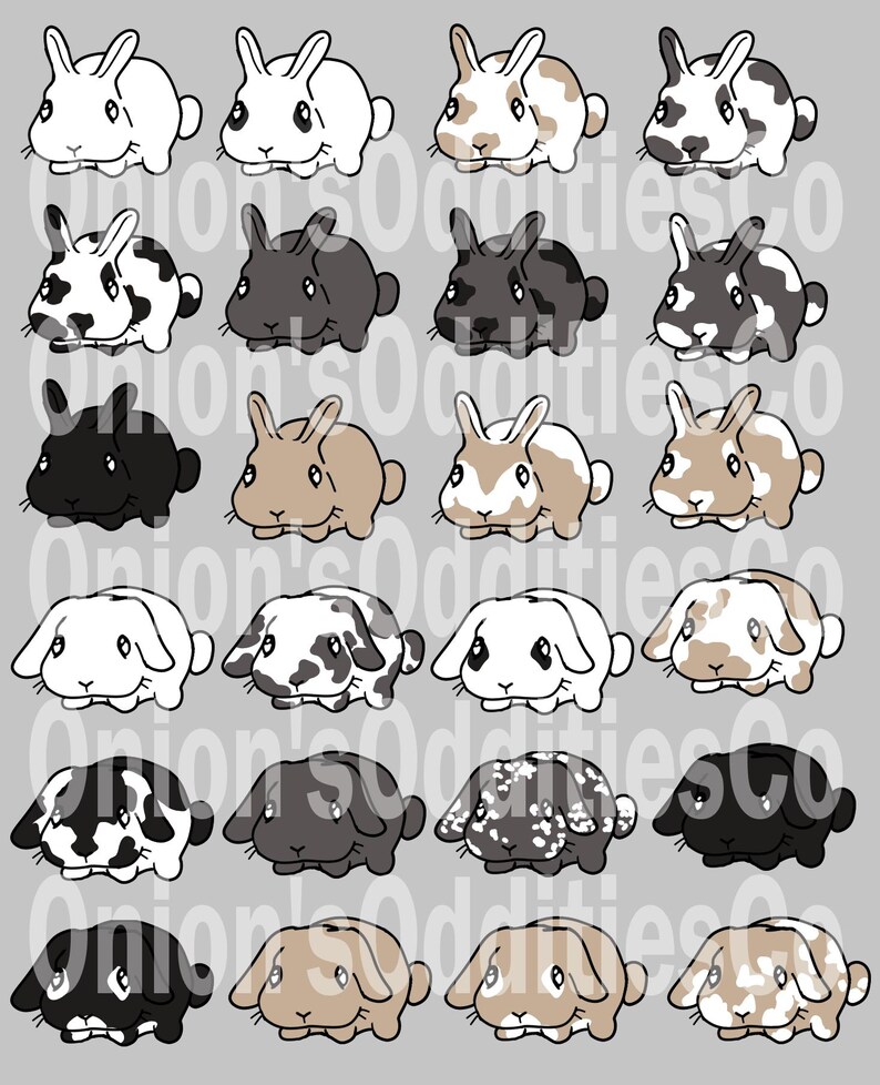 Commercial Use Bunny Rabbit Sticker Clipart Bundle Pack for Teachers ...