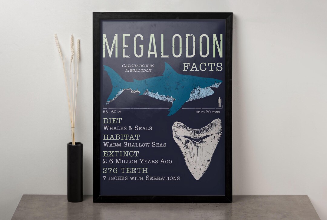 Megalodon Facts Poster, Titan Shark Wall Art, Shark Poster, Megalodon ...