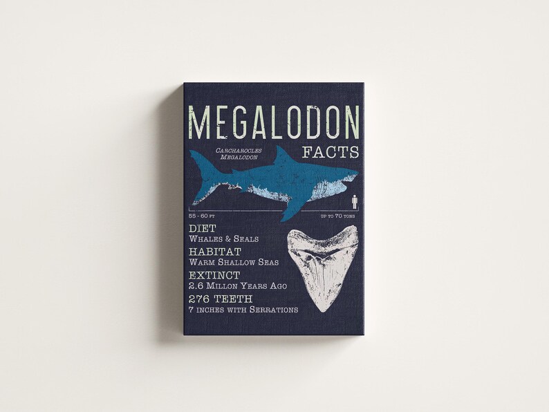 Megalodon Facts Poster, Titan Shark Wall Art, Shark Poster, Megalodon ...