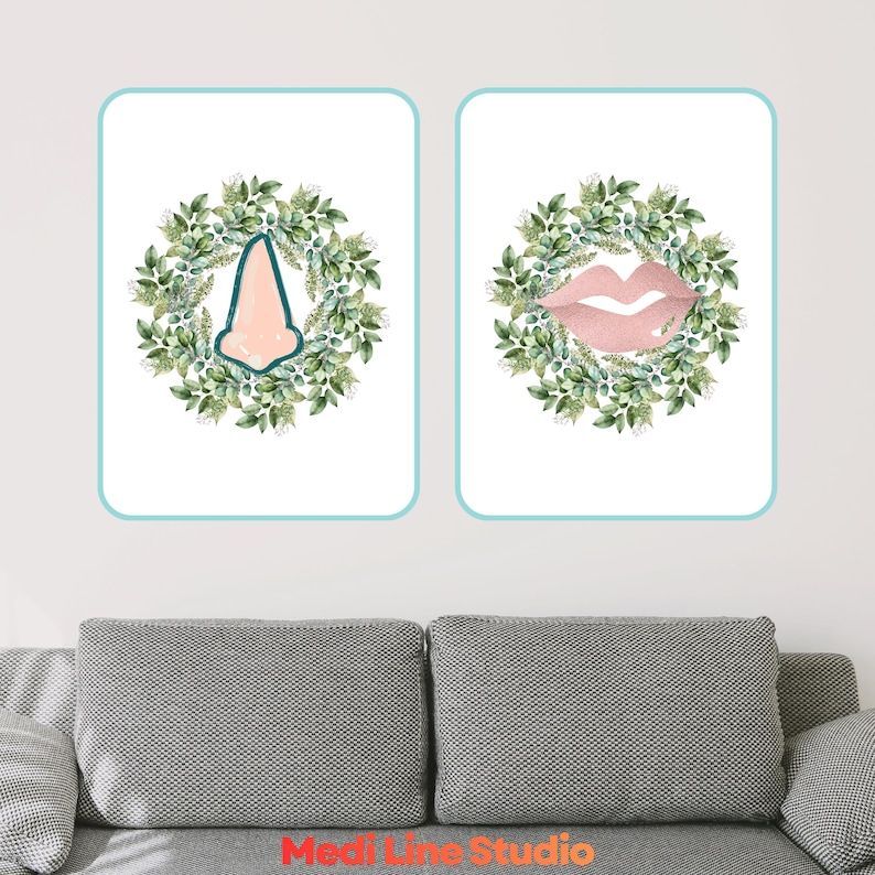 Facial Anatomy Bundle | Lip & Nose Medical Art - Etsy