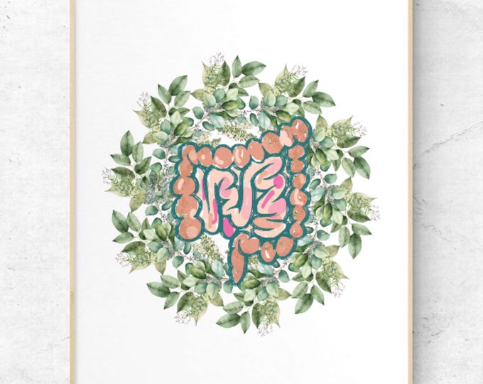 Digestive Tract Poster GI Anatomy Art 8x10 11x14 16x20 18x24 24x36 ...