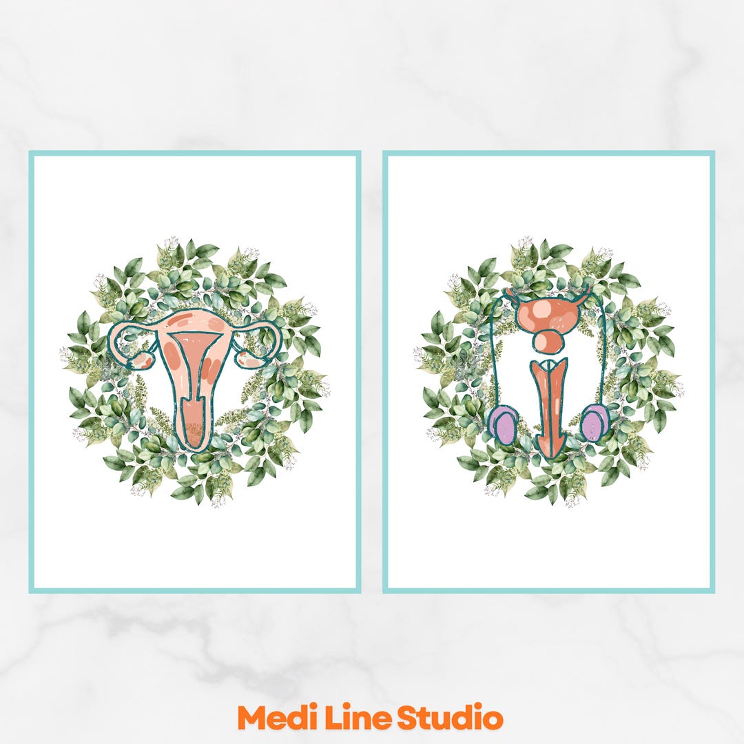 Reproductive Anatomy Bundle | Gynecology & Urology Prints - Etsy