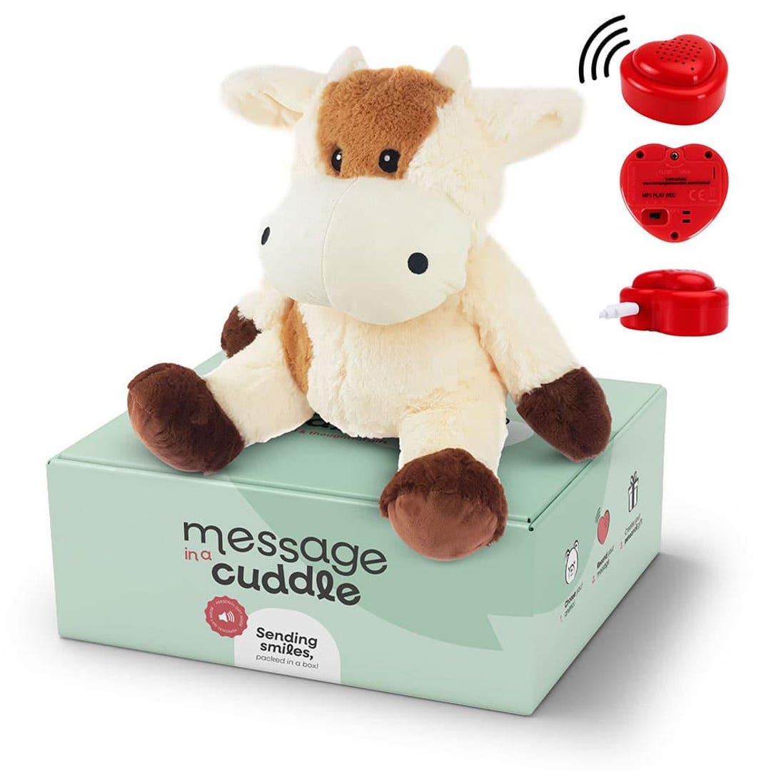 Plush Animal With Voice Recorder | Microphone + MP3 | Size: 45 Cm ...