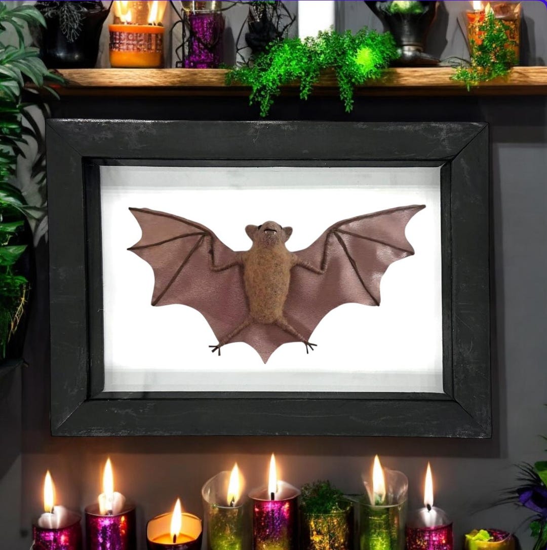 Fake Taxidermy Bat in Shadowbox Dried Insect Dead Bug Taxidermy Black ...