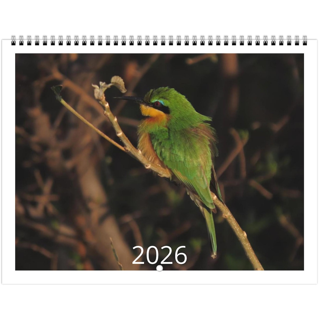 Safari Birds Calendar 2026 - Etsy