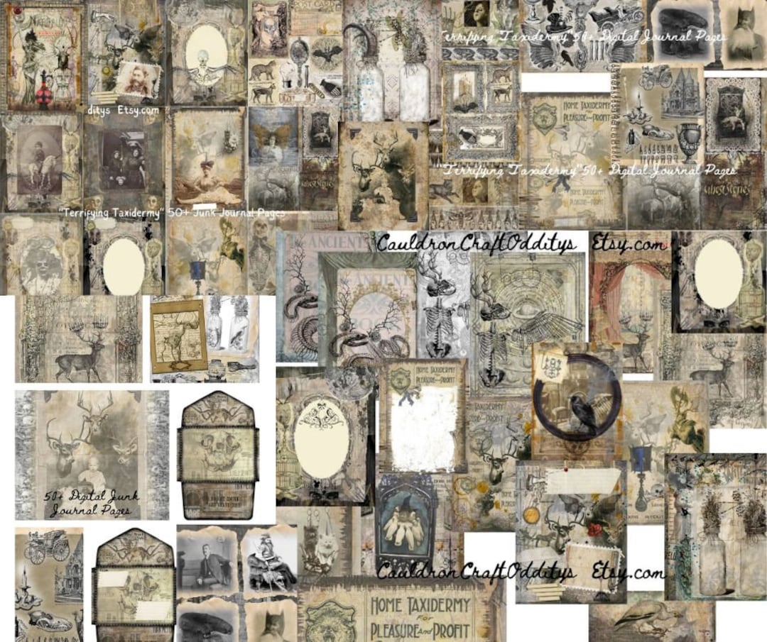 Terrifying Taxidermy 50 Digital Horror Pages of 100 Graphics Paranormal ...