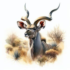 Majestic Kudu Digital Images - Etsy