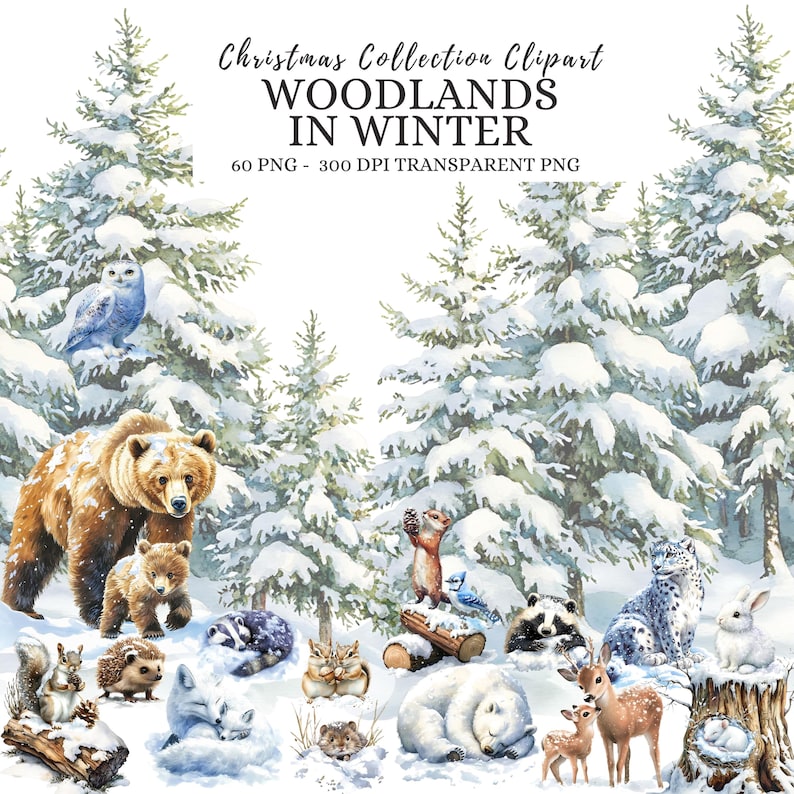 Watercolor Winter Woodland Clipart: PNG Animal Graphics (digital ...