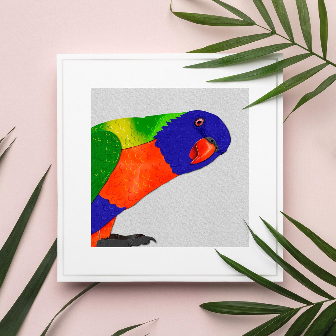 Rainbow Lorikeet Australian Native Bird Framed Art Print, Vibrant Paper ...