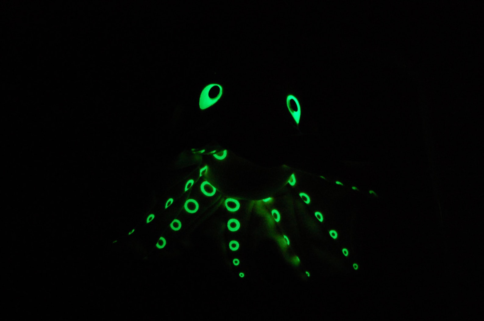 Leonardo the Octopus Glow in the Dark Stuffed Animal Plush Toy - Etsy