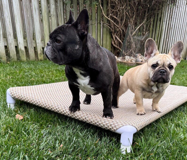 Large Outdoor Dog Bed PVC Frame - Etsy