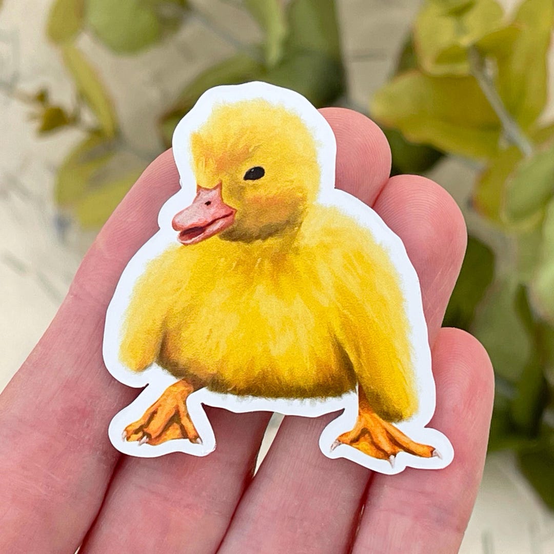 Duckling Vinyl Sticker | Hand Drawn Baby Duck Printed Onto Waterproof ...