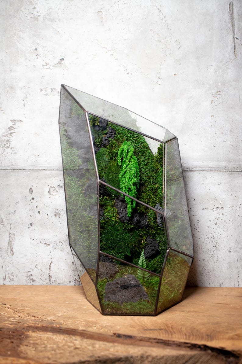 Geometric Glass Terrarium Modern Moss Display Handmade Glass Planter 4 ...