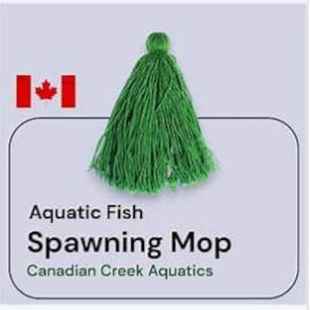 Aquatic Spawning Mop. Breeding Floating Mop for Aquarium Fish. Egg ...