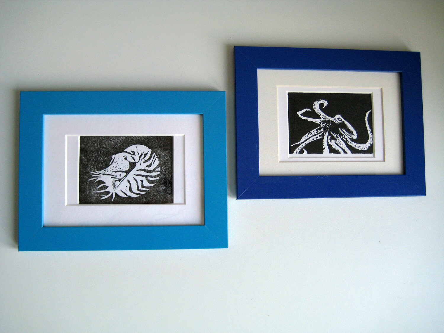Nautilus Mounted Linocut in Blue Frame | Etsy