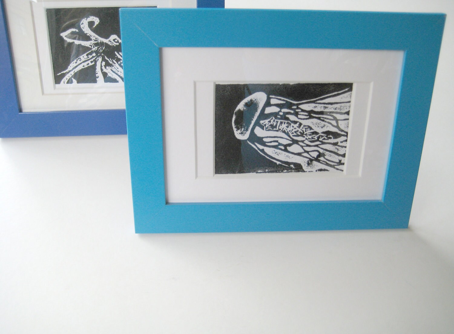 Nautilus Mounted Linocut in Blue Frame | Etsy