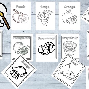 Coloring Book, Fruit Coloring Book, 40 Fruits Easy Coloring, Print ...
