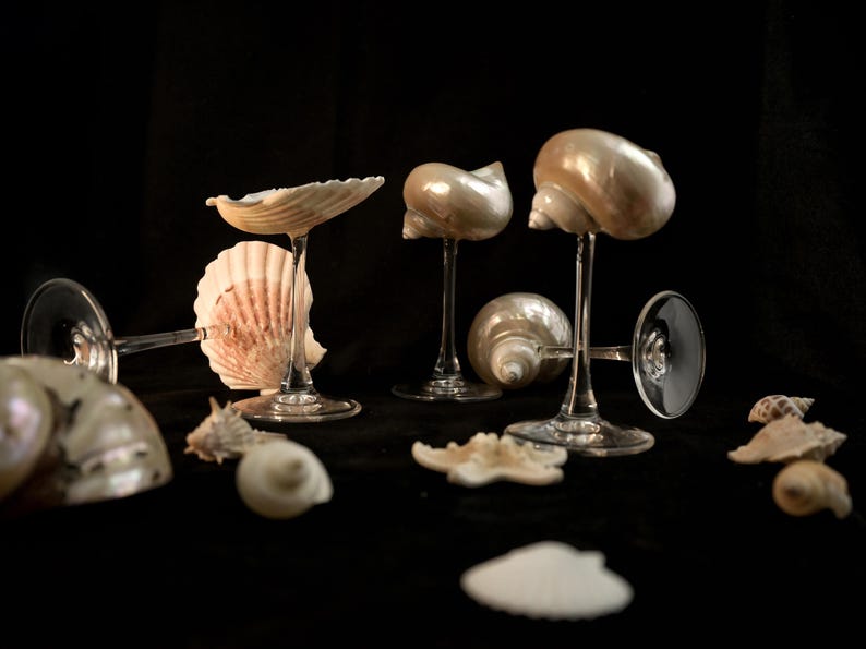 Seashell Wine Glasses, Shell Martini Glasses, Trending Valentine's Day ...
