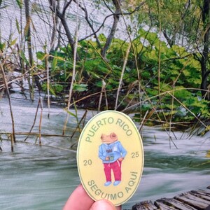 Bad Bunny Dtmf Sticker Un Verano En Nuevayol New Album Merch - Etsy