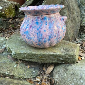 African Violet Pot, Fluted, Pink, Blue, Amethyst, White, Self Watering ...