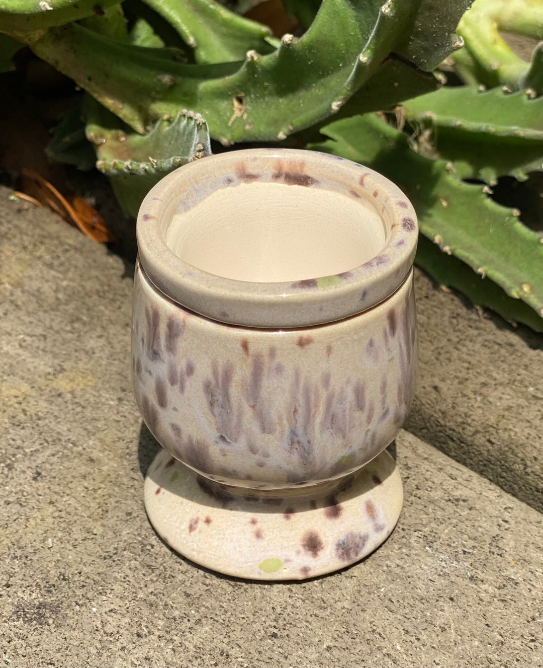 Mini African Violet Planter, Violet Pot, Propagation, Taupe, Lavender ...