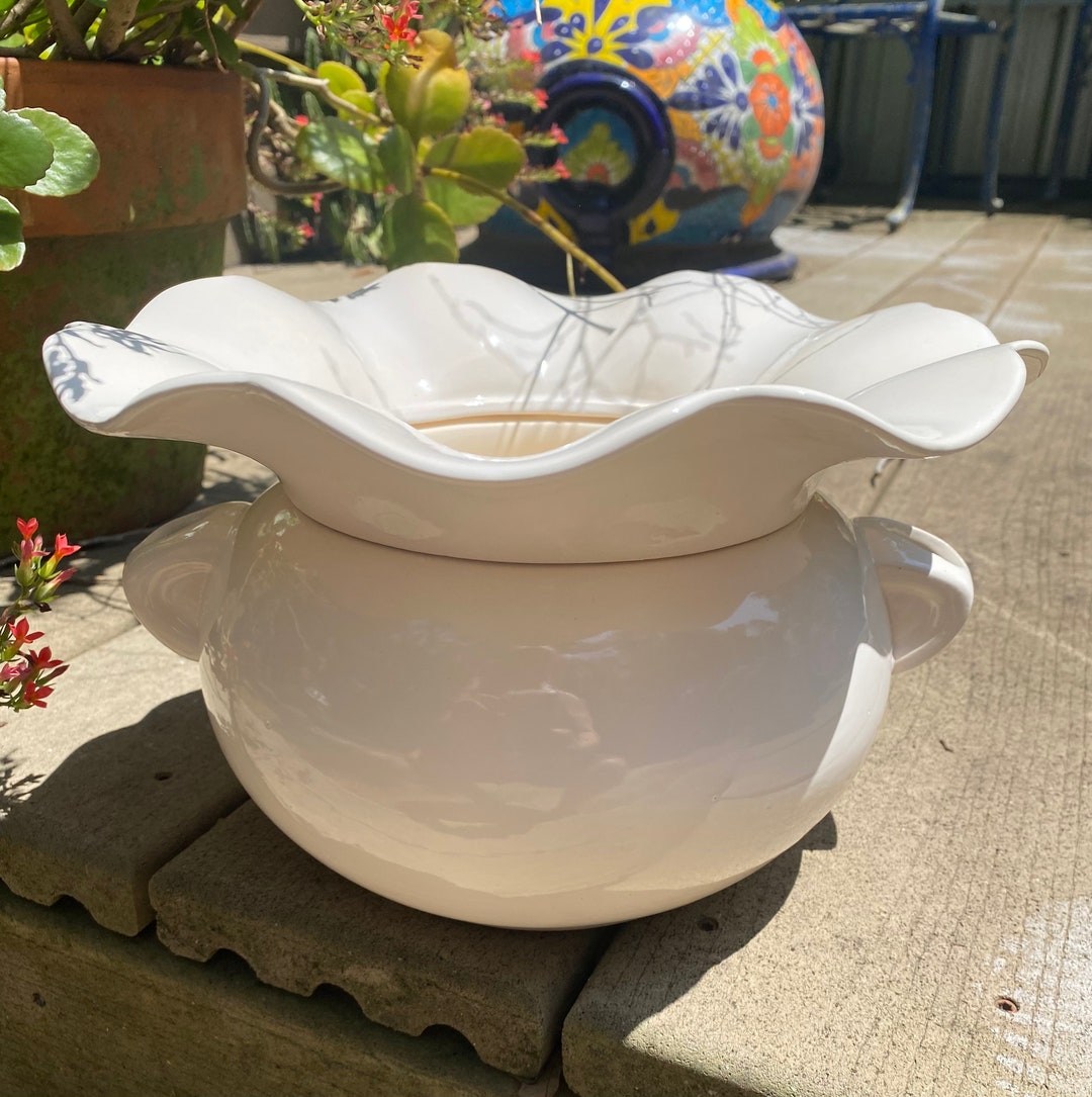 Extra Large Round Flared Violet Pot, Self Watering, African Violet ...