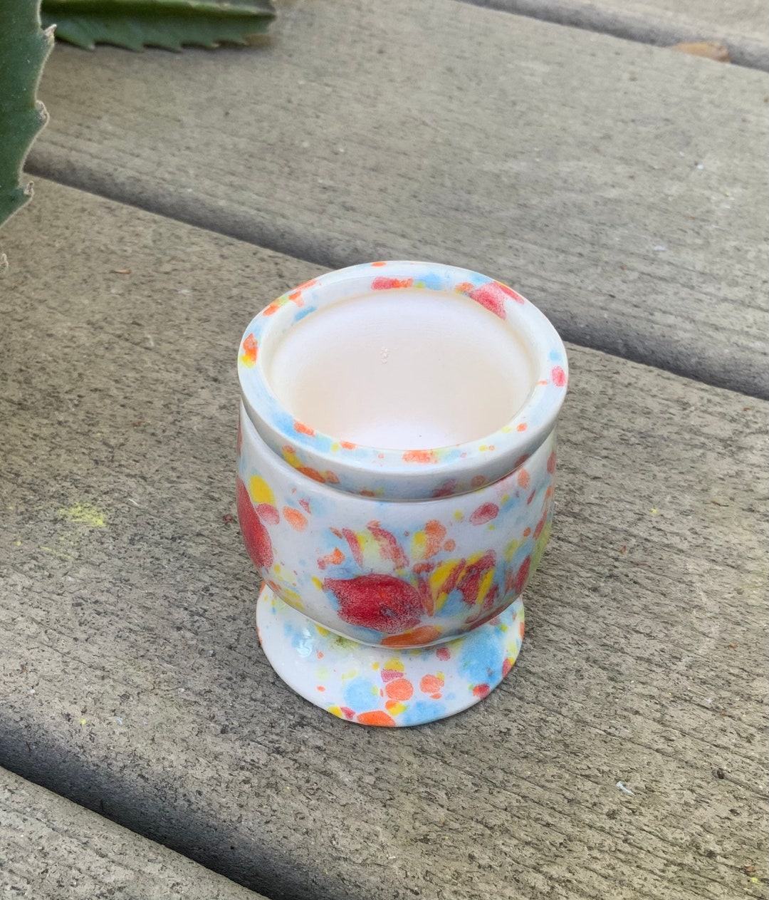 Mini African Violet Planter, Violet Pot, Propagation, Red, Aqua, Yellow ...