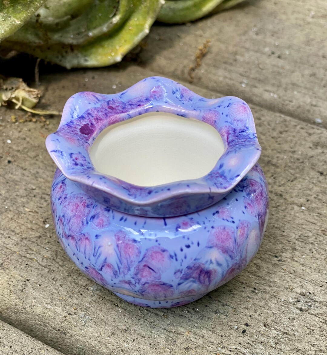 Mini Violet Pot, Self Watering, Seeding Starter, Propagation Pot ...
