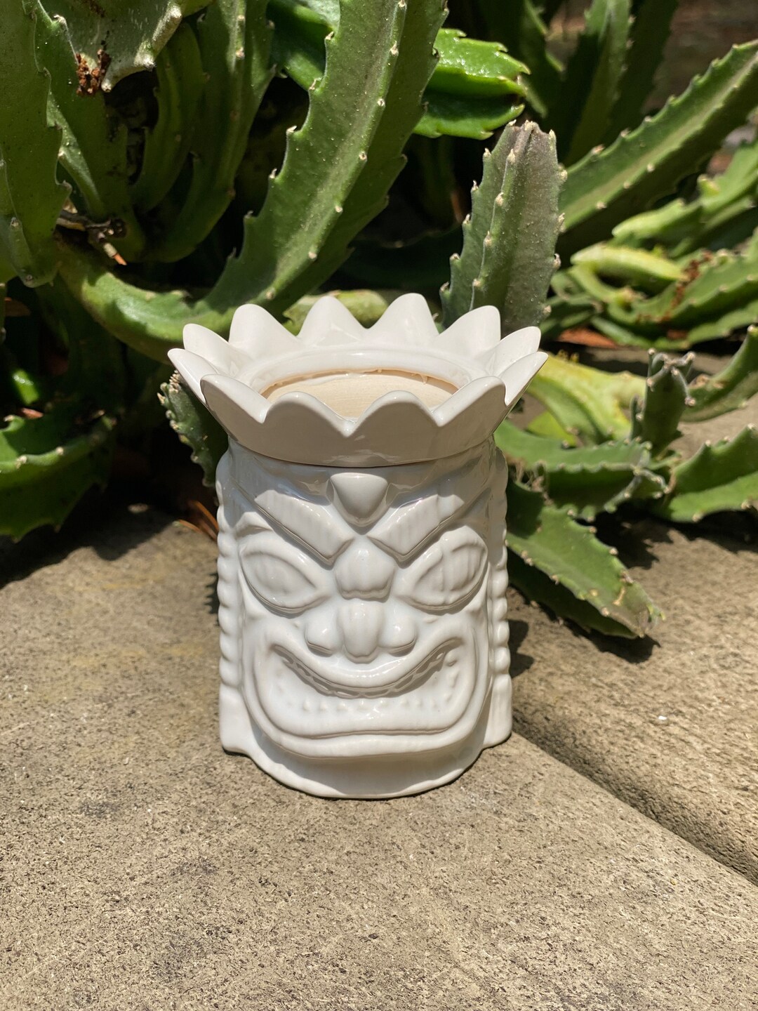 Mini African Violet Planter, Tiki, Violet Pot, Propagation, Self ...