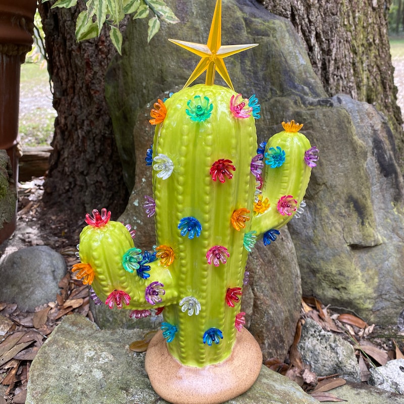 Christmas Tree Cactus - Etsy