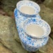 White Blue Cobalt Double African Violet Pot, Self Watering, Ceramic ...